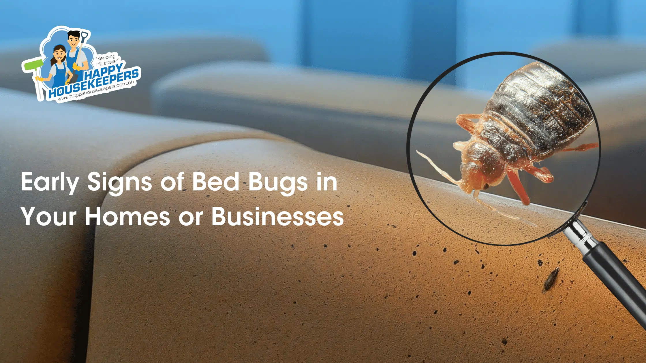 Early Signs Of Bed Bug Infestation 8 Early Signs Of Bed Bugs | Pestend